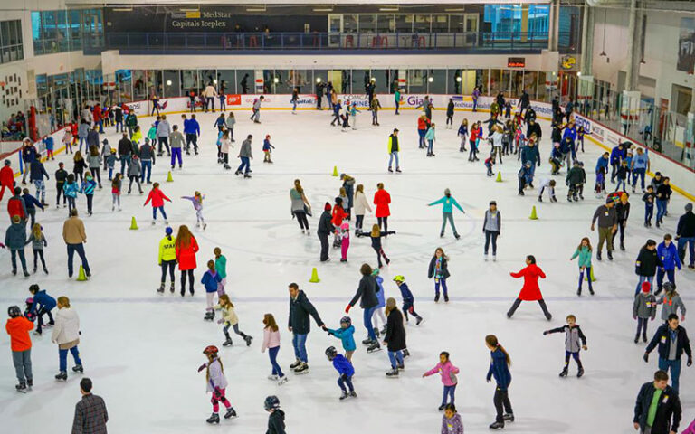 10 Best Places to Ice Skate in Fairfax County